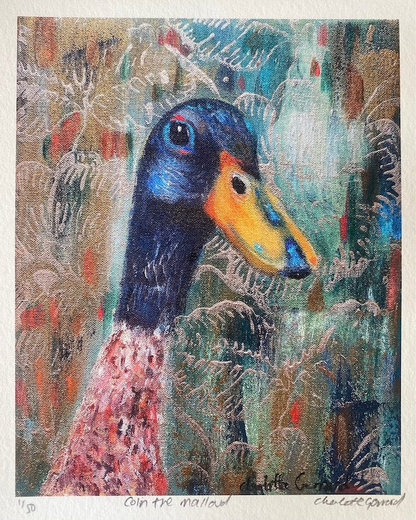 Colin the Mallard, Portrait, 8x10 inch print giclee art print ...