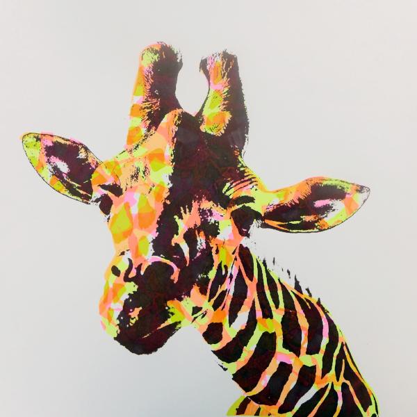 "Giraffe Love" giraffe screenprint art print - Charlotte Gerrard
